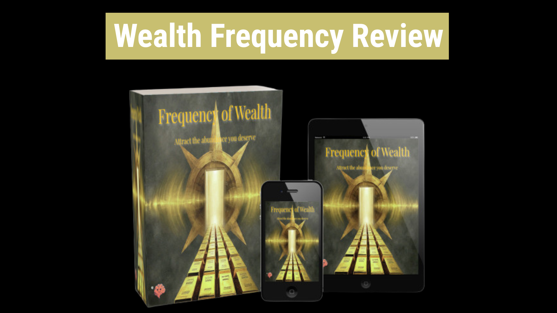 Wealth Frequency Review: Is This Audio Program a Worthwhile Investment?